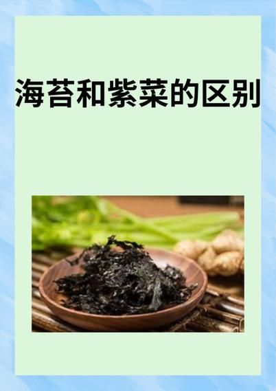 海苔和紫菜哪个营养高_海苔紫菜营养价值对比-第1张图片-山城妙识 海苔和紫菜哪个营养高_海苔紫菜营养价值对比-第1张图片-山城妙识
