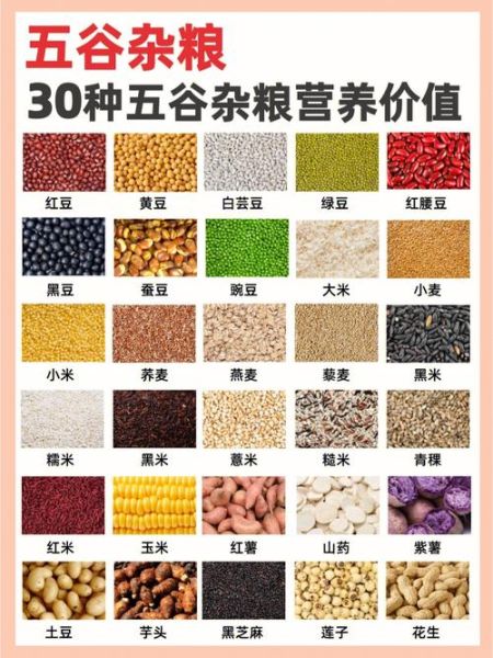 杂粮有哪些品种_杂粮图片大全怎么找-第1张图片-山城妙识