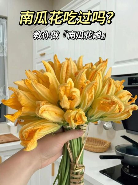 南瓜花怎么做好吃_南瓜花的家常做法大全-第2张图片-山城妙识