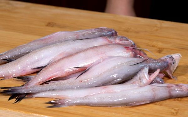 虾潺学名是什么_虾潺和龙头鱼区别-第3张图片-山城妙识