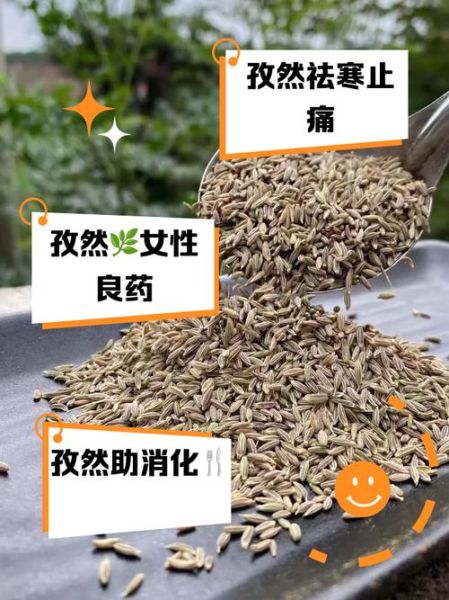 吃孜然对女性不好吗_女性吃孜然的危害-第1张图片-山城妙识