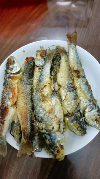 海白鱼是什么鱼_海白鱼多少钱一斤-第1张图片-山城妙识