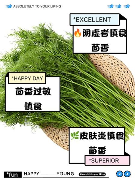 吃茴香的禁忌_哪些人不能吃茴香-第1张图片-山城妙识 吃茴香的禁忌_哪些人不能吃茴香-第1张图片-山城妙识