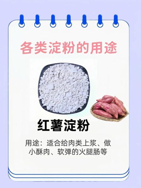 淀粉是什么_淀粉的作用有哪些-第3张图片-山城妙识