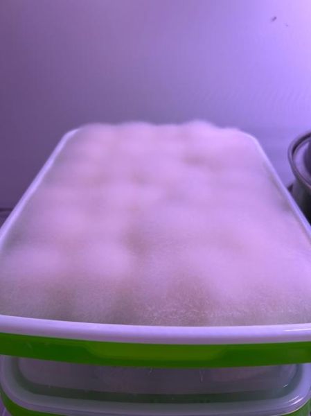 豆腐乳怎么做好吃_豆腐乳做菜方法-第2张图片-山城妙识