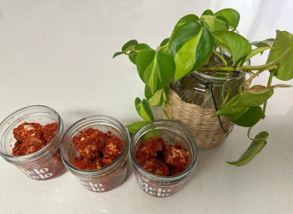 怎样做豆腐乳好吃又简单_家常豆腐乳制作步骤-第1张图片-山城妙识