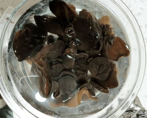 煮熟的黑木耳隔夜能吃吗_如何正确保存-第1张图片-山城妙识 煮熟的黑木耳隔夜能吃吗_如何正确保存-第1张图片-山城妙识