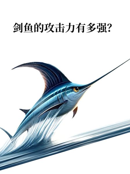 剑鱼价格多少钱一斤_剑鱼为什么这么贵-第1张图片-山城妙识