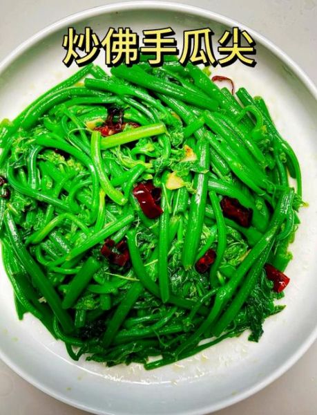 佛手瓜藤尖怎么做好吃_佛手瓜藤尖的做法大全-第1张图片-山城妙识