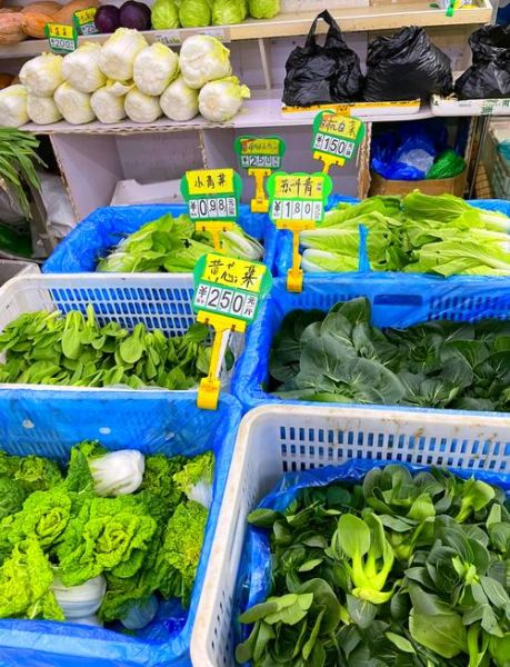 青菜有哪些品种_常见青菜种类大全-第3张图片-山城妙识