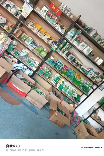 蔬菜种子批发市场在哪_如何挑选优质蔬菜种子-第1张图片-山城妙识