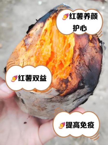 烤红薯那么甜为什么减肥_烤红薯减肥能吃吗-第2张图片-山城妙识 烤红薯那么甜为什么减肥_烤红薯减肥能吃吗-第2张图片-山城妙识