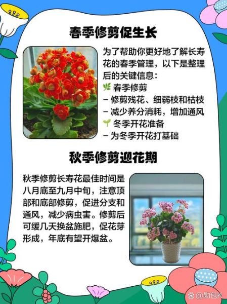 长寿花怎么修剪_长寿花修剪后多久开花-第2张图片-山城妙识