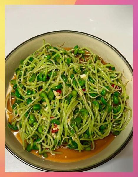黑豆苗怎么做好吃_黑豆苗凉拌还是清炒-第1张图片-山城妙识