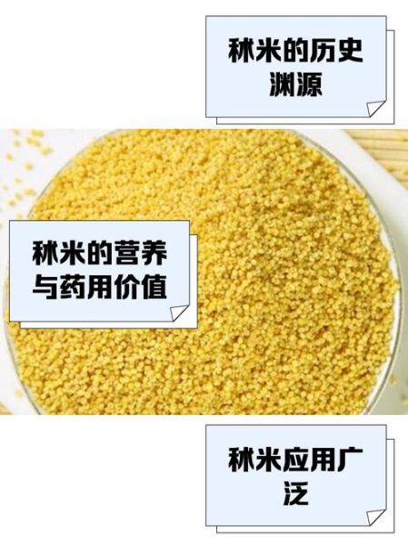 秫米是什么米_秫米和糯米的区别-第1张图片-山城妙识