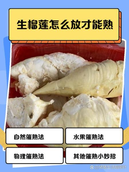 剥好的榴莲肉怎么催熟_榴莲肉没熟怎么办-第2张图片-山城妙识