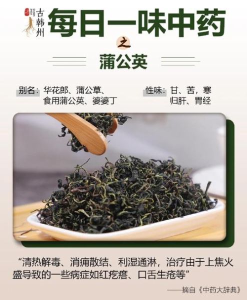 蒲公英图片_植物有什么功效-第3张图片-山城妙识