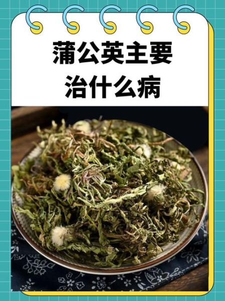 蒲公英图片_植物有什么功效-第1张图片-山城妙识