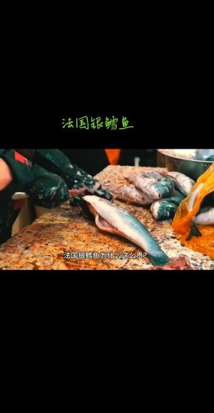 鳕鱼多少钱一斤_鳕鱼价格为什么差异大-第2张图片-山城妙识