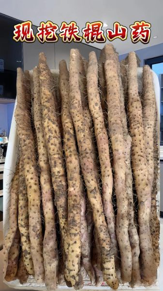 铁棍山药多少钱一斤_铁棍山药价格走势-第3张图片-山城妙识