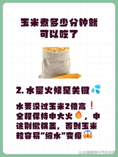 玉米煮多长时间能熟透_甜玉米煮多久才够糯-第2张图片-山城妙识