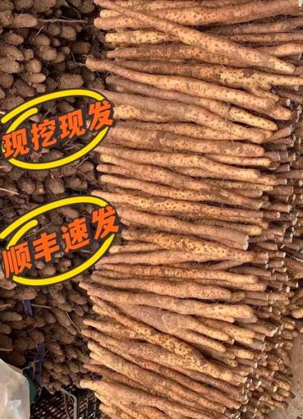 铁棍山药多少钱一斤_铁棍山药价格走势-第1张图片-山城妙识