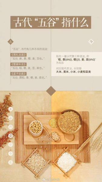 五谷丰登的五谷是哪几种_五谷丰登五谷具体指什么-第3张图片-山城妙识