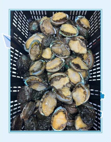 冷冻鲍鱼怎么清洗_冷冻鲍鱼清洗技巧-第3张图片-山城妙识 冷冻鲍鱼怎么清洗_冷冻鲍鱼清洗技巧-第3张图片-山城妙识