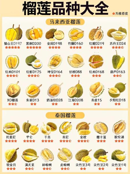 水果之王是哪种水果_为什么榴莲排第一-第2张图片-山城妙识 水果之王是哪种水果_为什么榴莲排第一-第2张图片-山城妙识