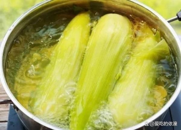 玉米怎么煮好吃又甜_玉米煮多久才甜-第1张图片-山城妙识