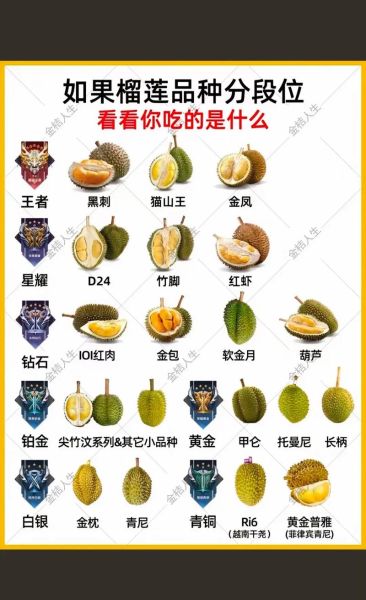 水果之王是哪种水果_为什么榴莲排第一-第3张图片-山城妙识 水果之王是哪种水果_为什么榴莲排第一-第3张图片-山城妙识