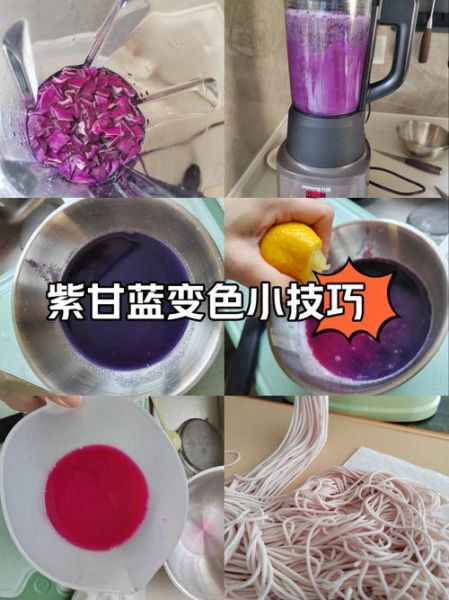 紫甘蓝变色实验原理_紫甘蓝指示剂怎么做-第1张图片-山城妙识