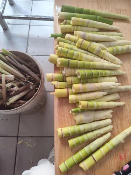 袋装冬笋怎么做好吃_袋装冬笋需要焯水吗-第3张图片-山城妙识