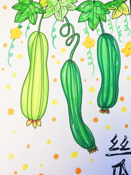 丝瓜图片卡通_怎么画才可爱-第1张图片-山城妙识 丝瓜图片卡通_怎么画才可爱-第1张图片-山城妙识