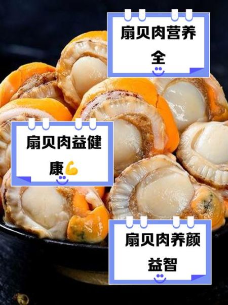 扇贝肉的营养价值_扇贝肉的功效与作用-第1张图片-山城妙识 扇贝肉的营养价值_扇贝肉的功效与作用-第1张图片-山城妙识