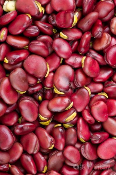 利马豆图片_利马豆长什么样-第1张图片-山城妙识