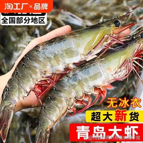 对虾和基围虾哪个贵_2024最新批发价对比-第3张图片-山城妙识