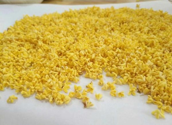 桂花怎么制作桂花茶_桂花茶的做法步骤-第3张图片-山城妙识