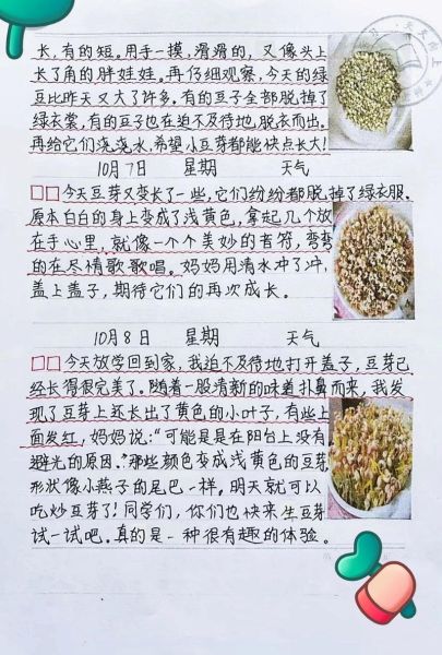 四年级黄豆观察日记怎么写_黄豆生长过程记录-第2张图片-山城妙识