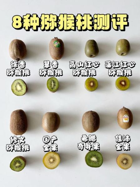 猕猴桃什么品种好吃_红心黄心绿心怎么选-第1张图片-山城妙识