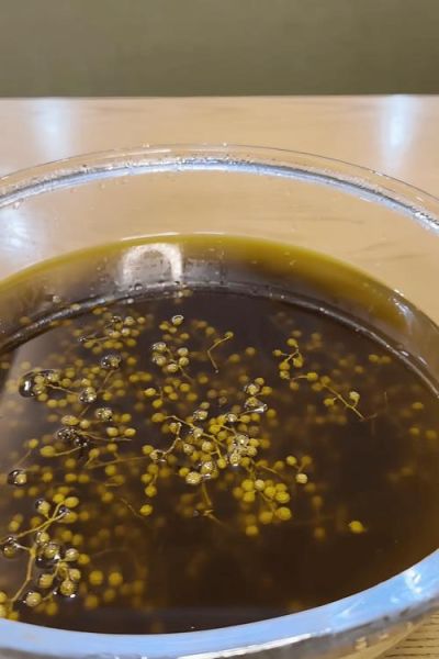 自制新鲜花椒油的做法大全_花椒油怎么保存不变色-第1张图片-山城妙识