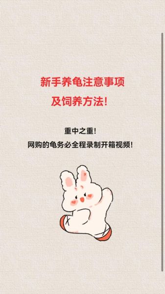 养龟六大忌有哪些_新手养龟常犯错误-第3张图片-山城妙识