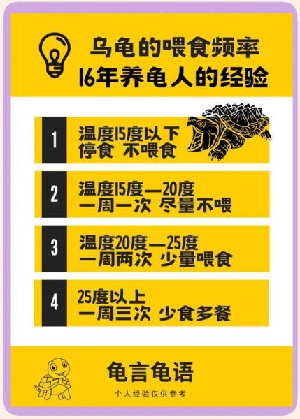 养龟六大忌有哪些_新手养龟常犯错误-第1张图片-山城妙识