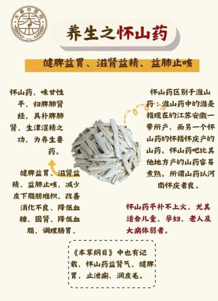 怀山药的功效与作用及禁忌_哪些人不能吃怀山药-第1张图片-山城妙识 怀山药的功效与作用及禁忌_哪些人不能吃怀山药-第1张图片-山城妙识