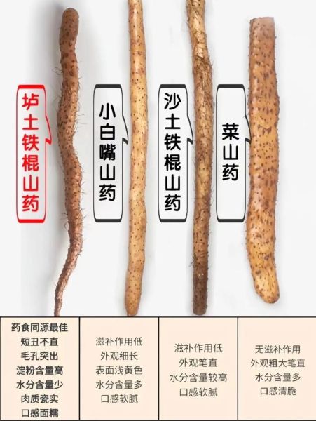 怀山药的功效与作用及禁忌_哪些人不能吃怀山药-第3张图片-山城妙识 怀山药的功效与作用及禁忌_哪些人不能吃怀山药-第3张图片-山城妙识