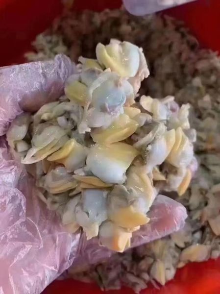 花蛤肉怎么做好吃又简单_花蛤肉的家常做法-第2张图片-山城妙识