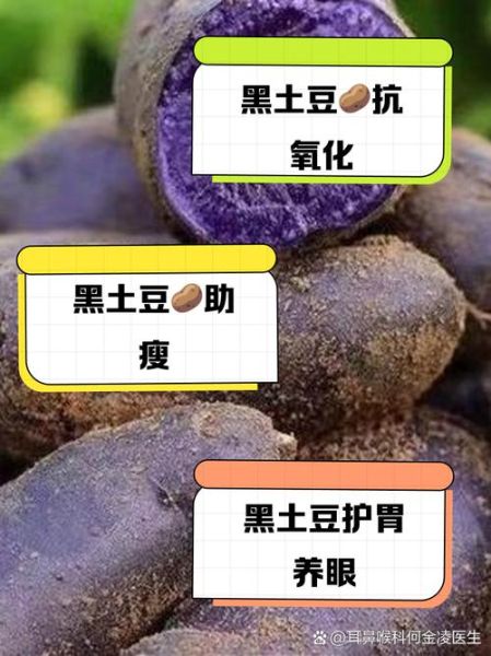 黑土豆禁忌人群有哪些_黑土豆哪些人不能吃-第1张图片-山城妙识