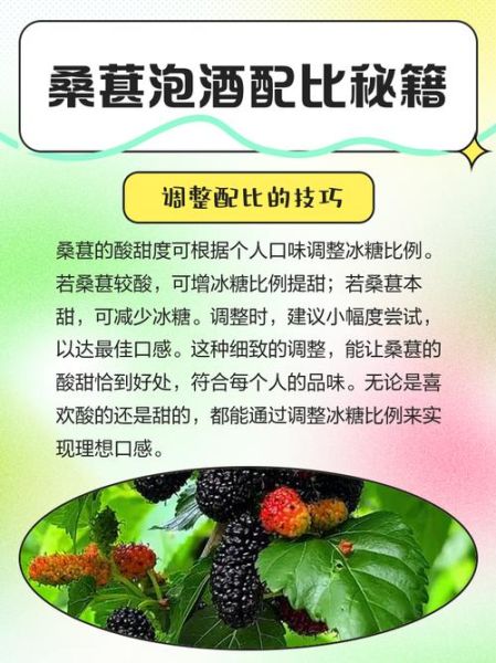 桑椹酒的做法比例_桑椹酒泡多久可以喝-第1张图片-山城妙识