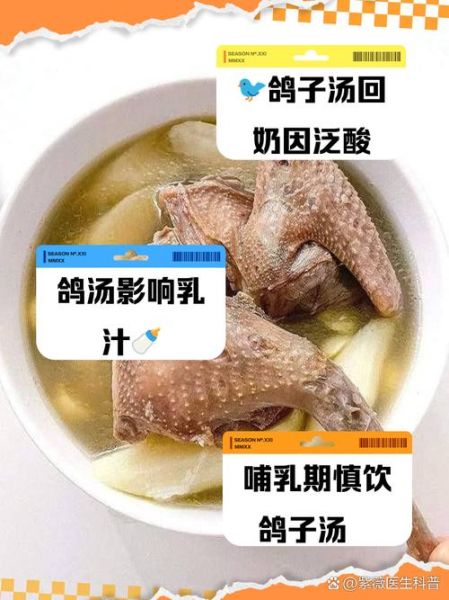 月子里喝鸽子汤回奶吗_鸽子汤回奶真相-第1张图片-山城妙识