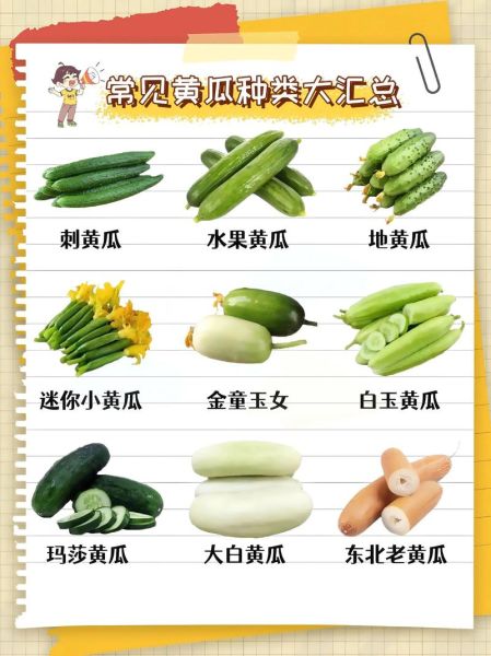 瓜类蔬菜有哪些_常见品种与冷门品种大全-第1张图片-山城妙识